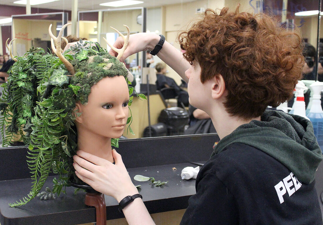 the-forest-through-the-tresses-news-sports-jobs-weirton-daily-times